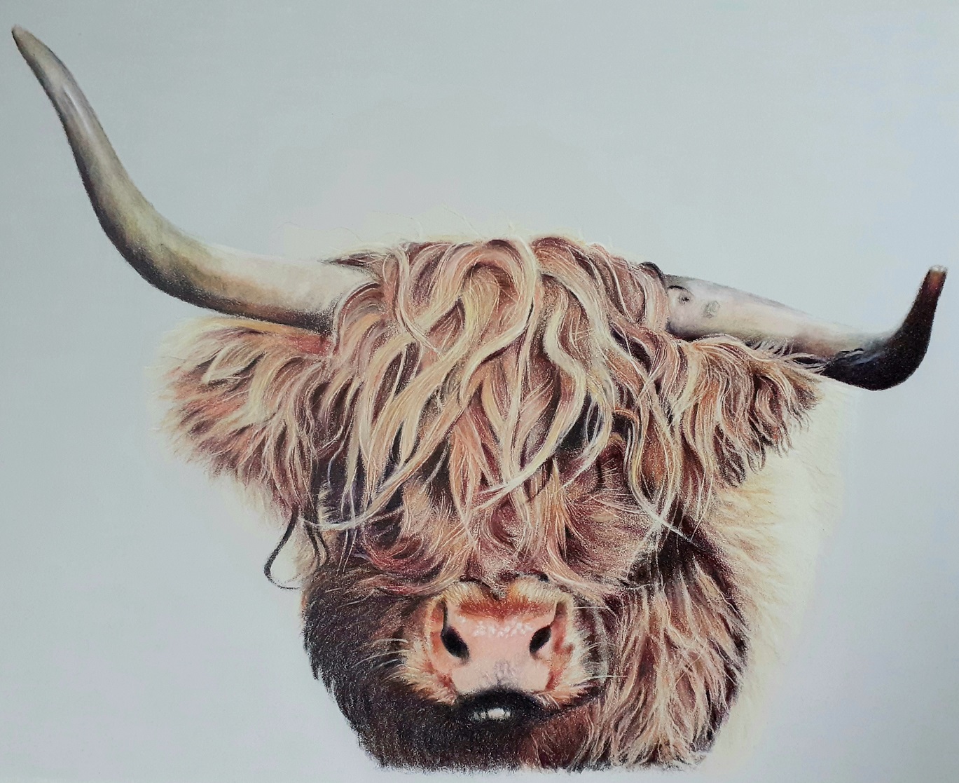 Sarah Cleeve Art